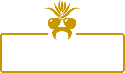 Dad Water - Non-carbonated Fruit Infused Tequila Water